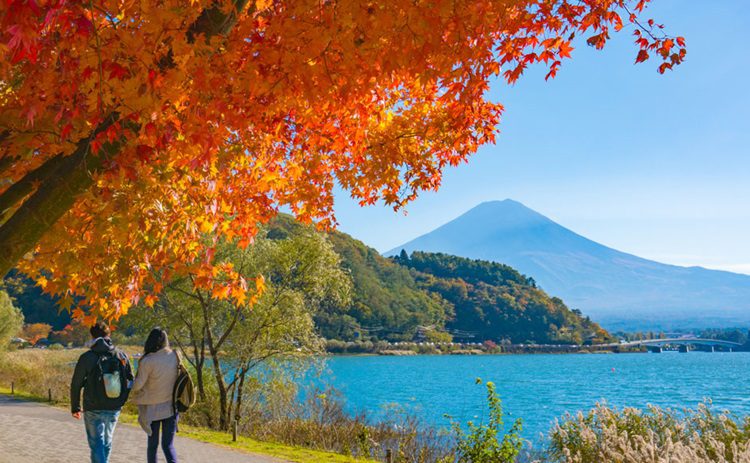 Pushime ne Japoni - Udhetime ne Japoni 2021 - Paketa turistike ne Japoni.